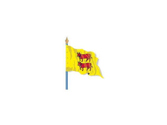 Drapeau provincial - Bearn | Contact NORMEQUIP