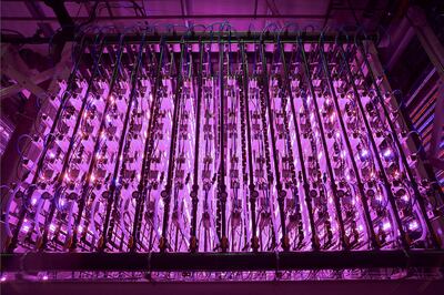 [L’instant tech] En Islande, la start-up Vaxa Technologies cultive des ...