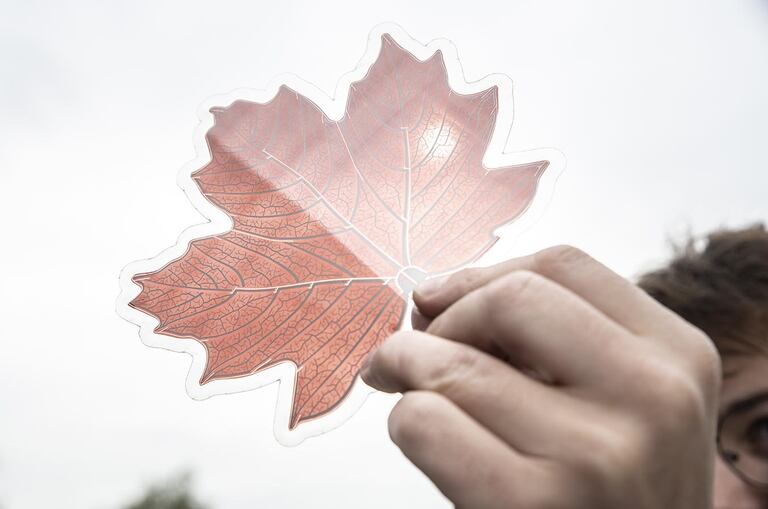 Pourquoi Armor croit toujours à ses films solaires organiques, à la ...