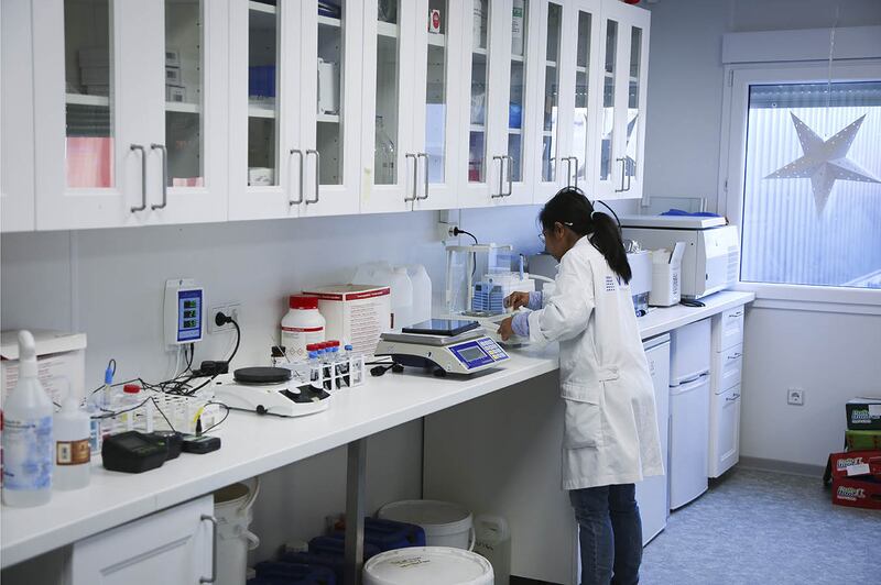 [L’instant tech] En Islande, la start-up Vaxa Technologies cultive des ...