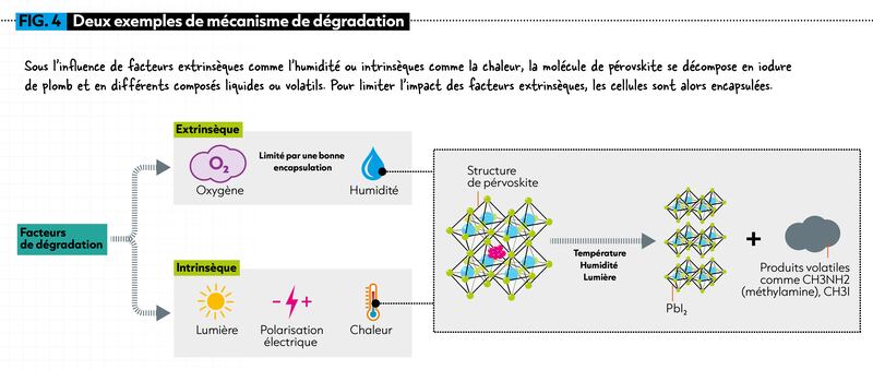 Performances, architectures, fabrication... Tout savoir sur ces ...
